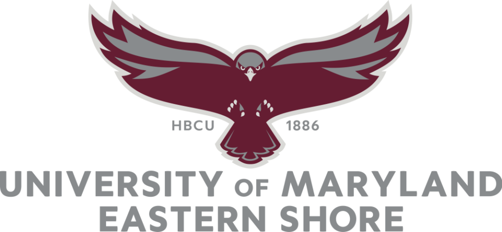 Study Abroad with University of Maryland Eastern Shore and API